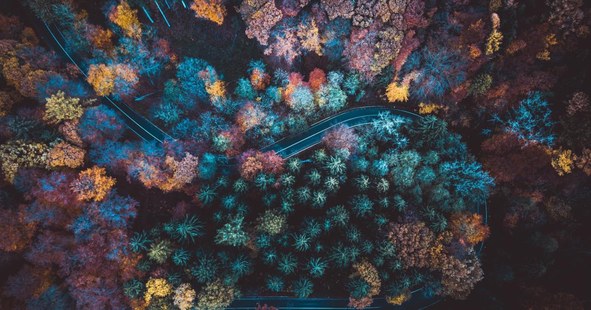 Raccolta delle migliori frasi sulla natura e sulla sua importanza