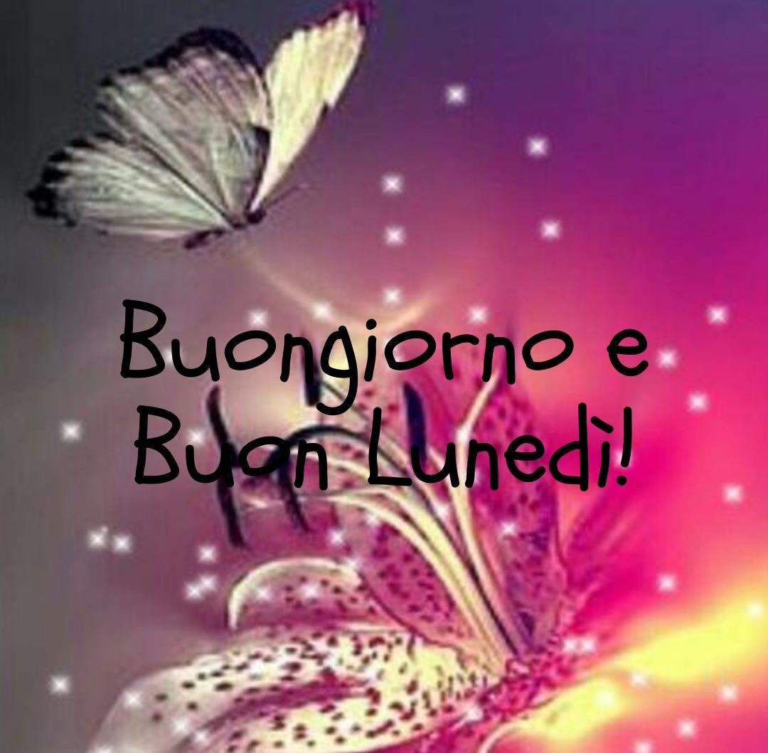 100 Frasi per augurare Buon Lunedì