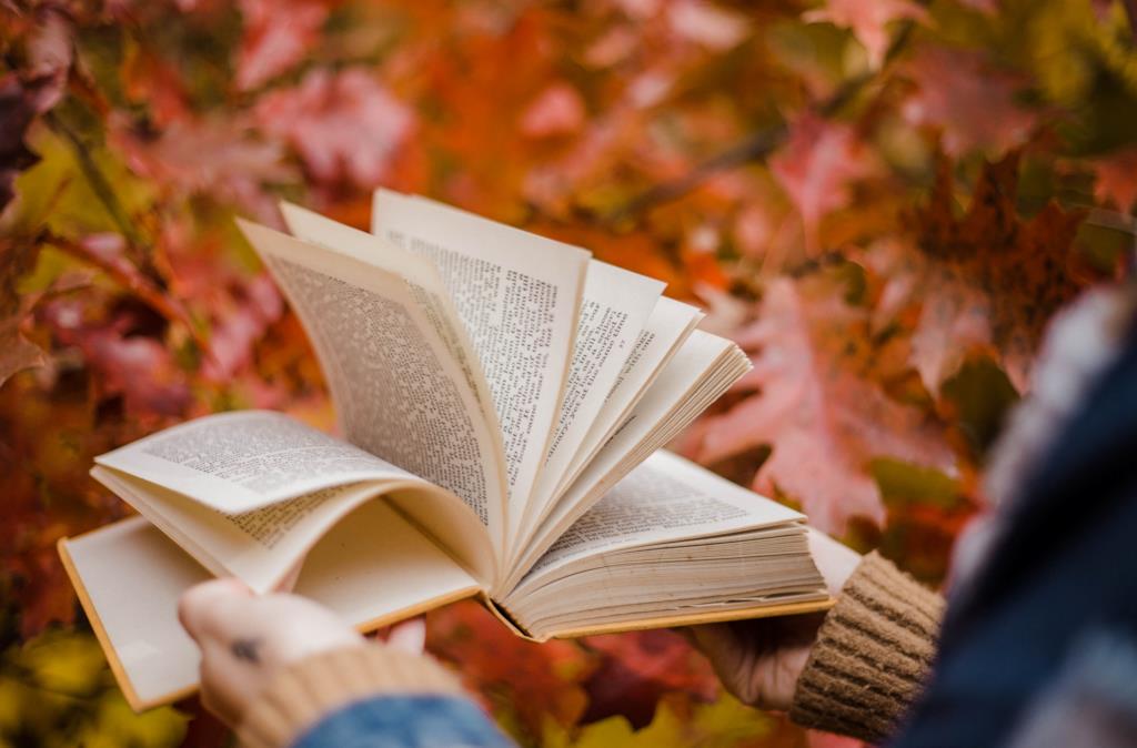 Le 100 frasi più belle tratte dai libri