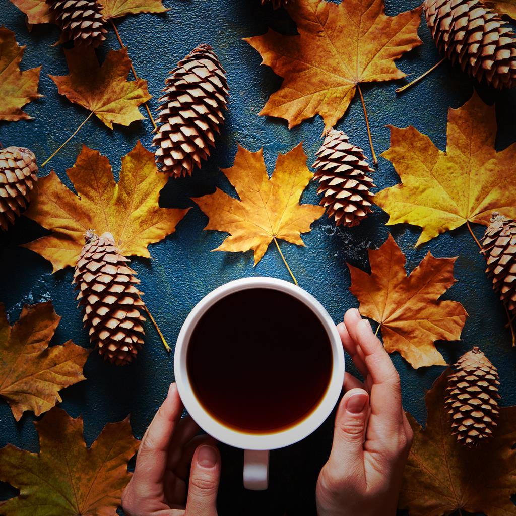 Le 20 Frasi fatte più usate dagli italiani