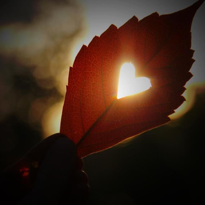 Le frasi che colpiscono il cuore più emozionanti da condividere